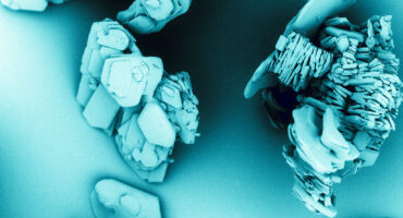 Regulatory News for Investors | TheraCryf plc